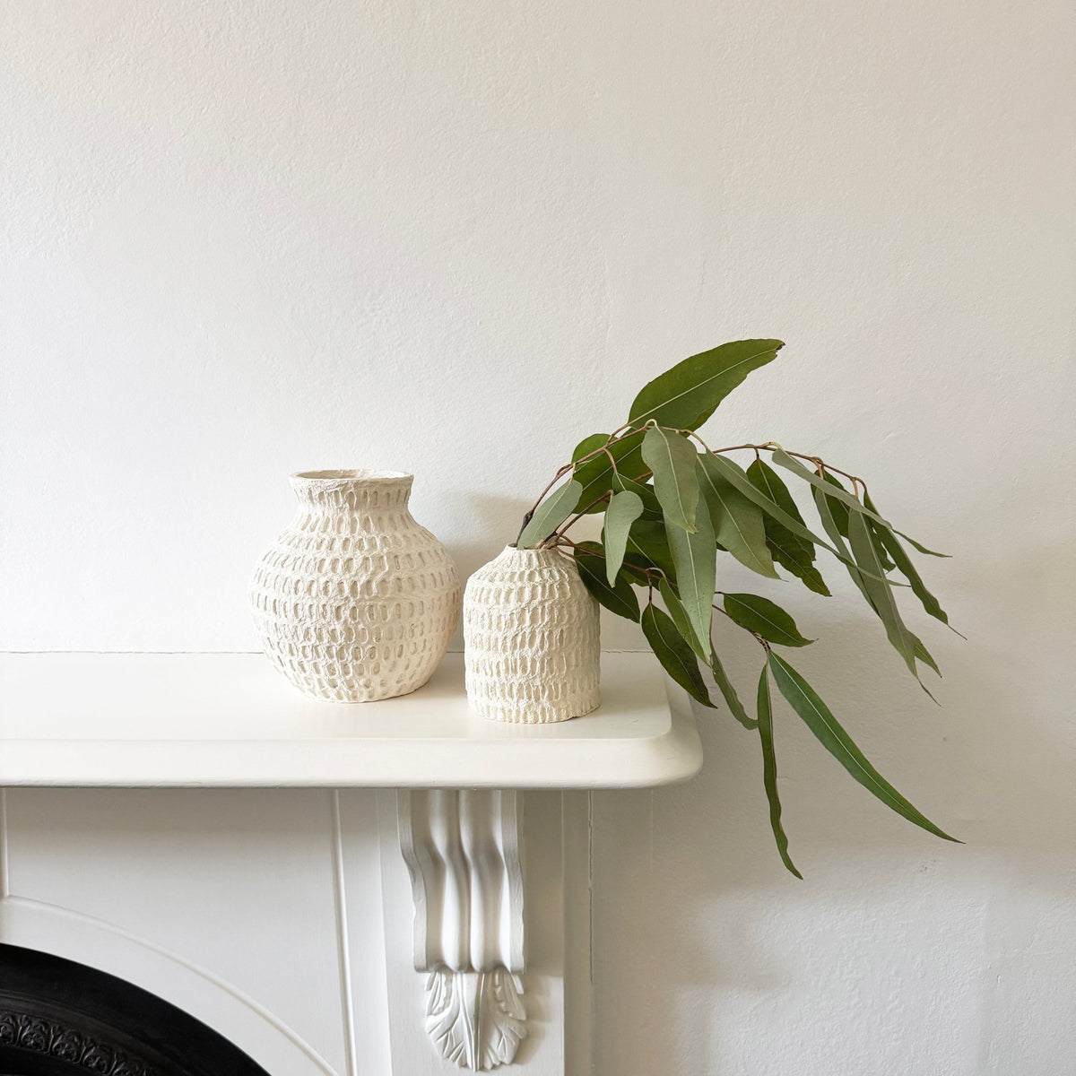 How To Infuse Your Space With Authentic Australian Charm – Nest & Bird